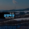 강원도 겨울에 가야만 하는 여행지 삼양목장삼양라운드힐 네이버 블로그